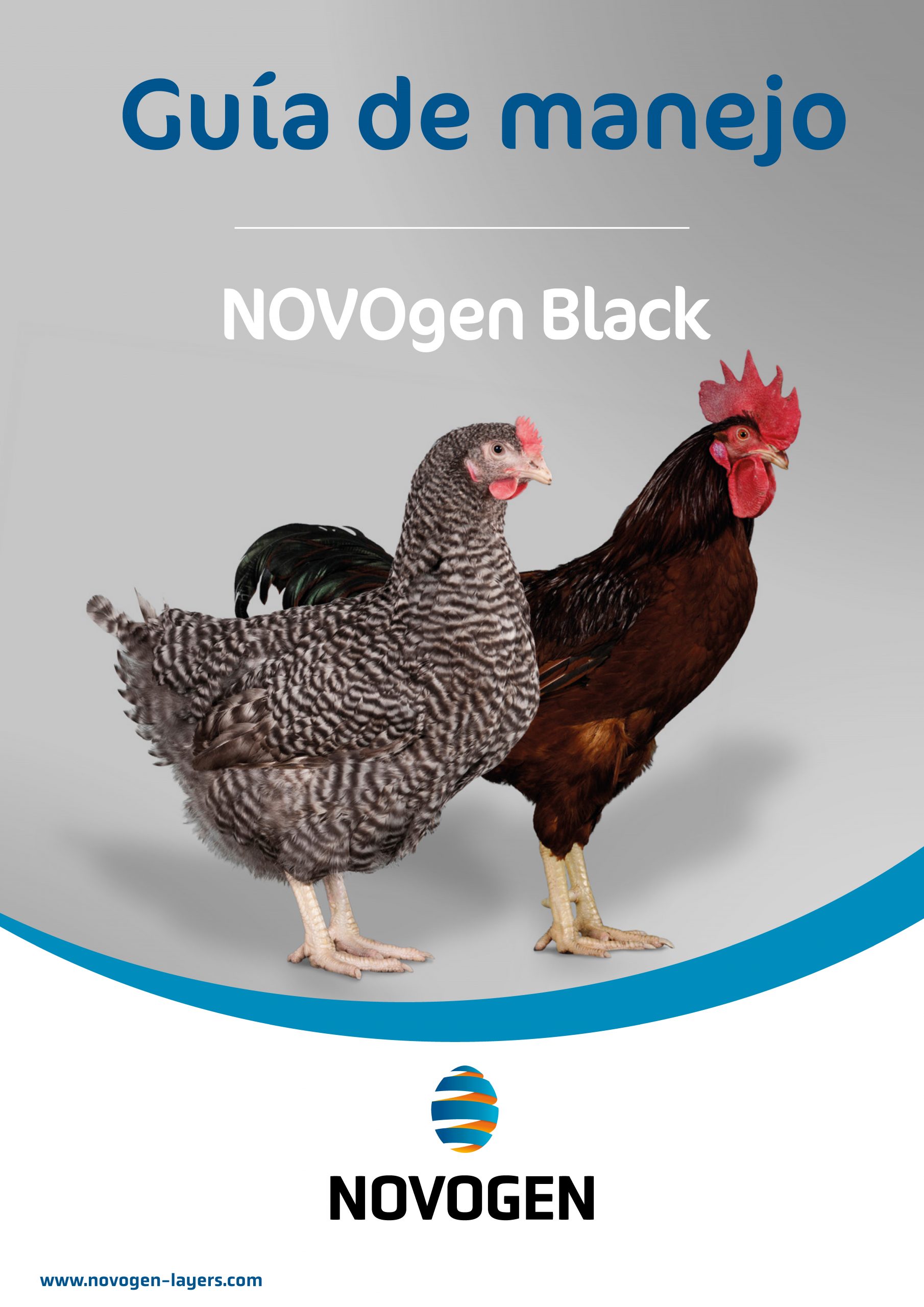 Black Archives - Novocenter