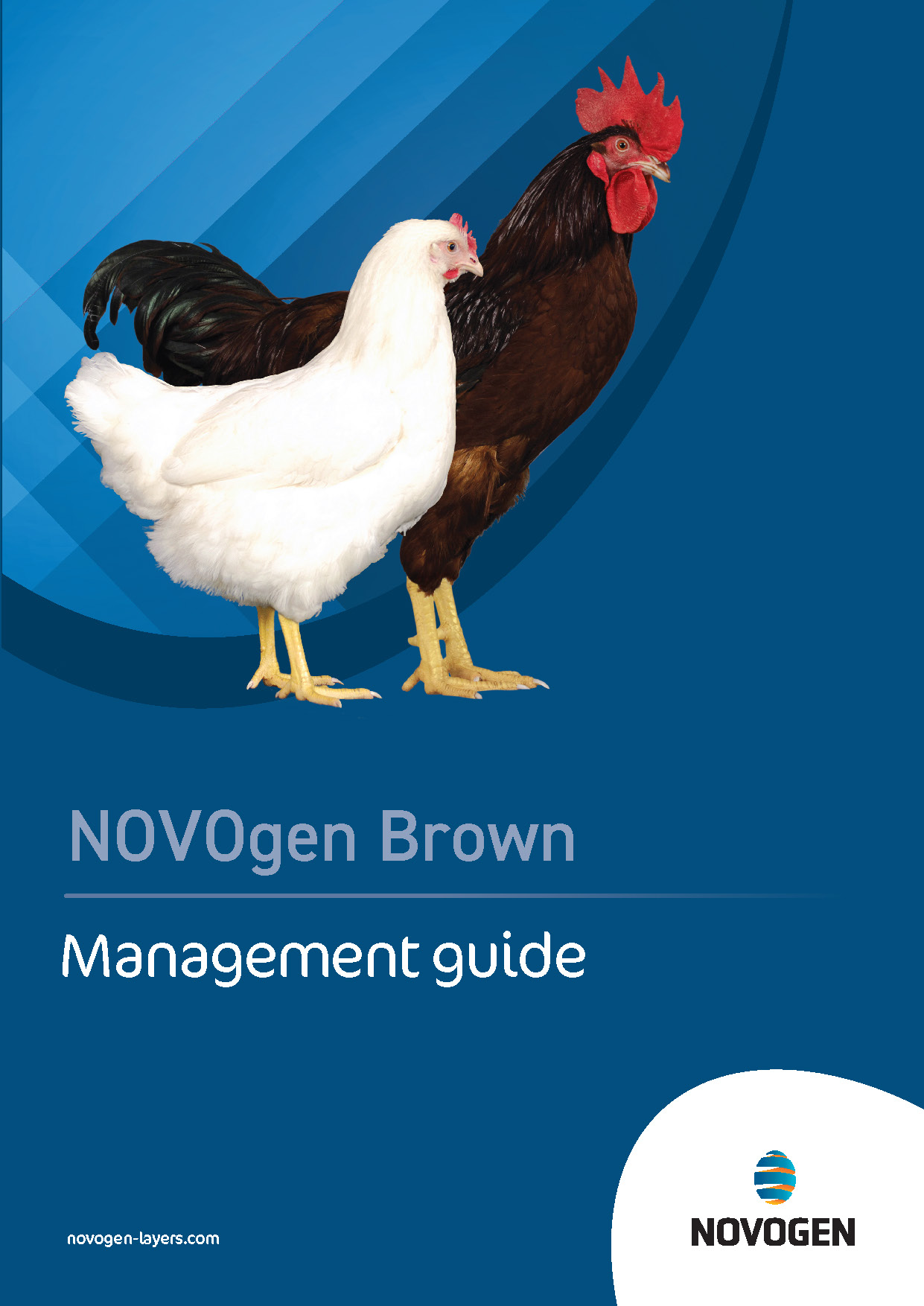 Brown Archives - Novocenter