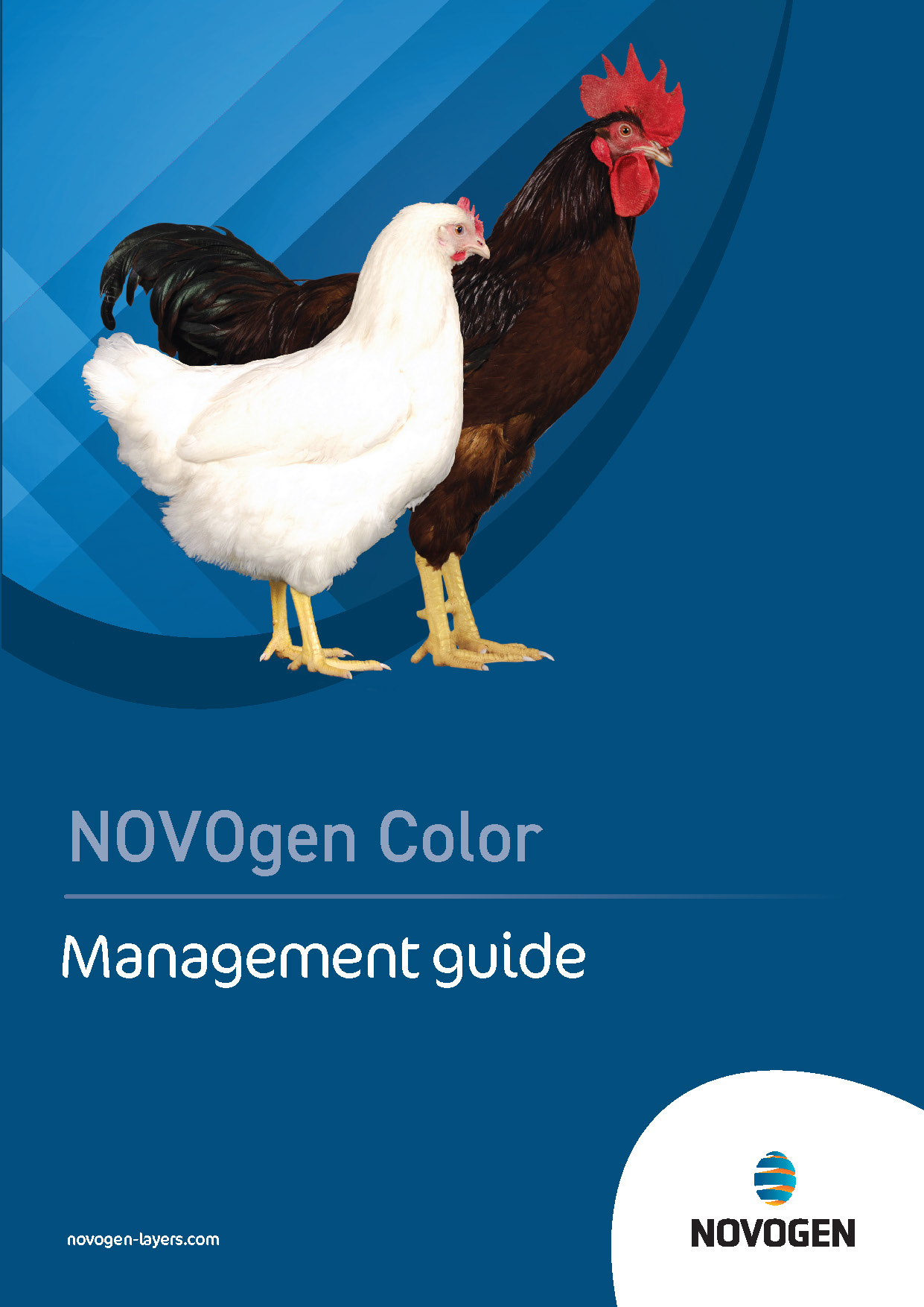 Color Archives - Novocenter