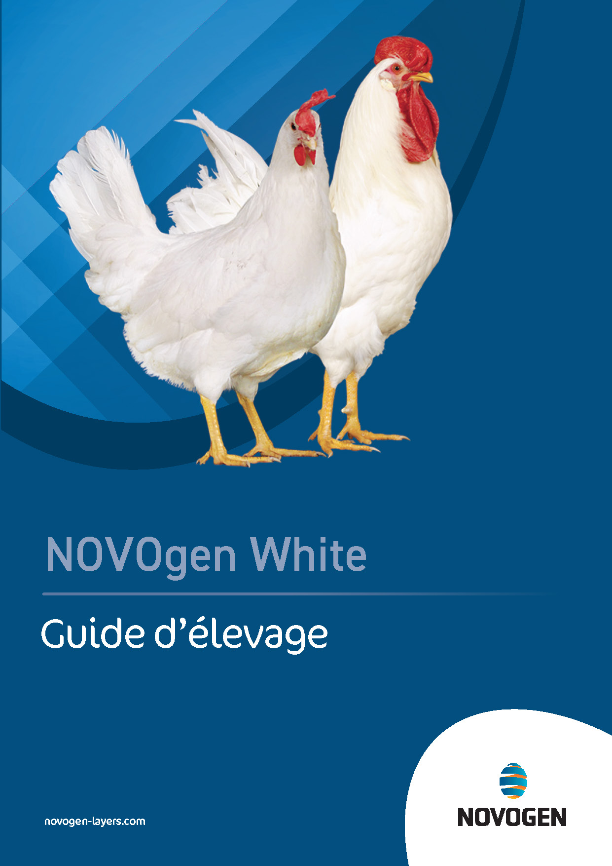 White Archives - Novocenter