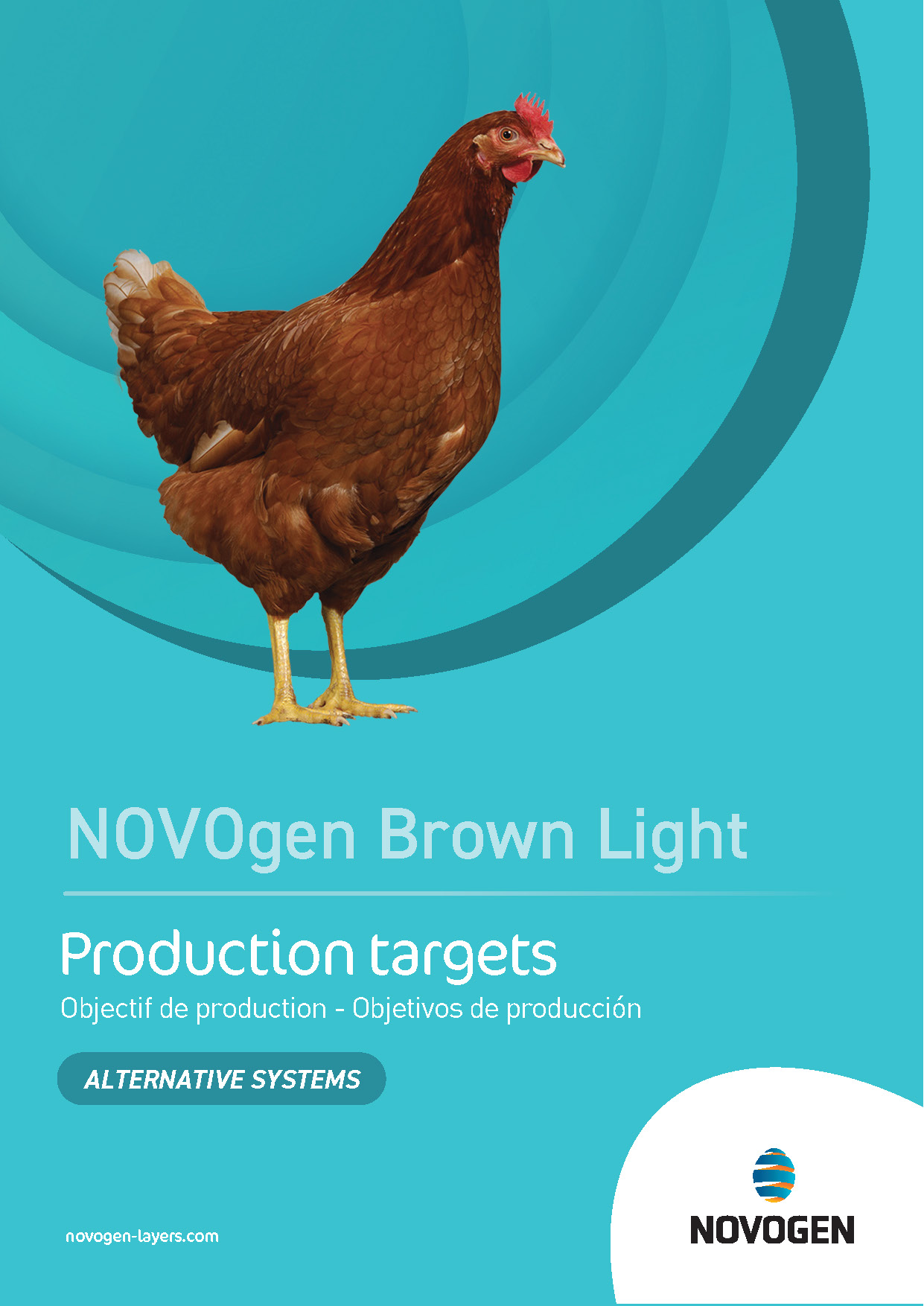 Commercial Layers : Production Target NOVOgen Brown Light Alternative ...