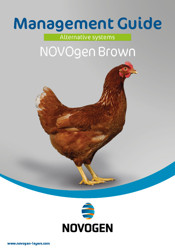 Commercial Layers : Management guide NOVOgen Brown Alternative - Novocenter
