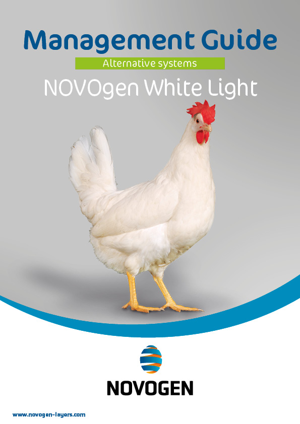 White light Archives - Novocenter