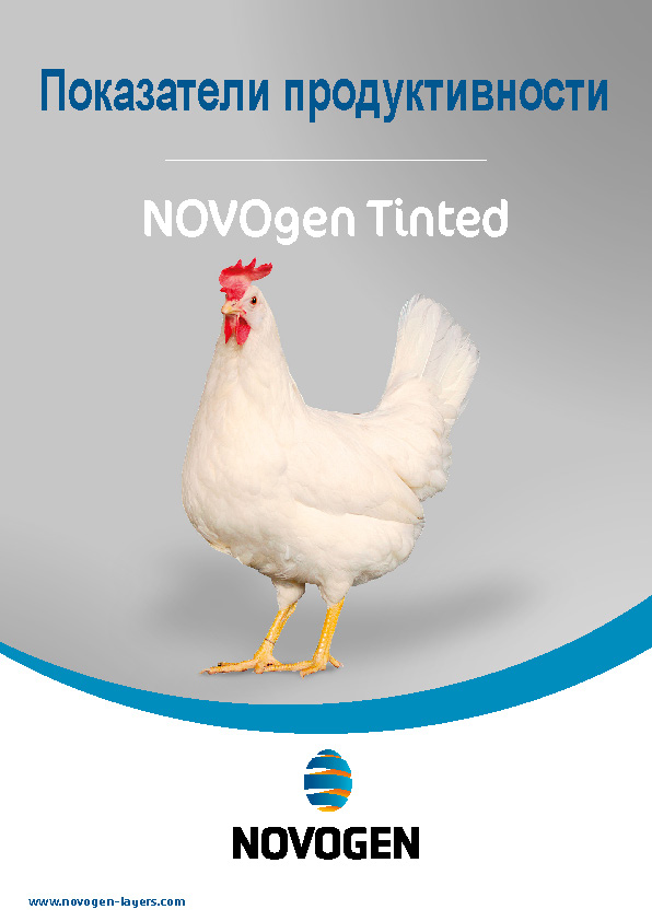 Russian Archives - Novocenter