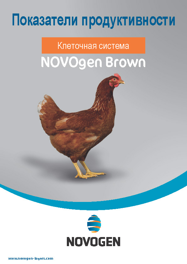 Russian Archives - Novocenter