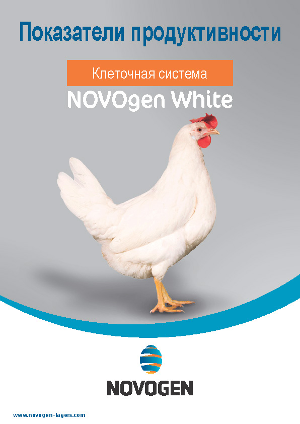 Russian Archives - Novocenter