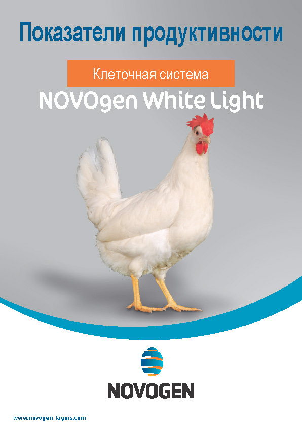 Russian Archives - Novocenter