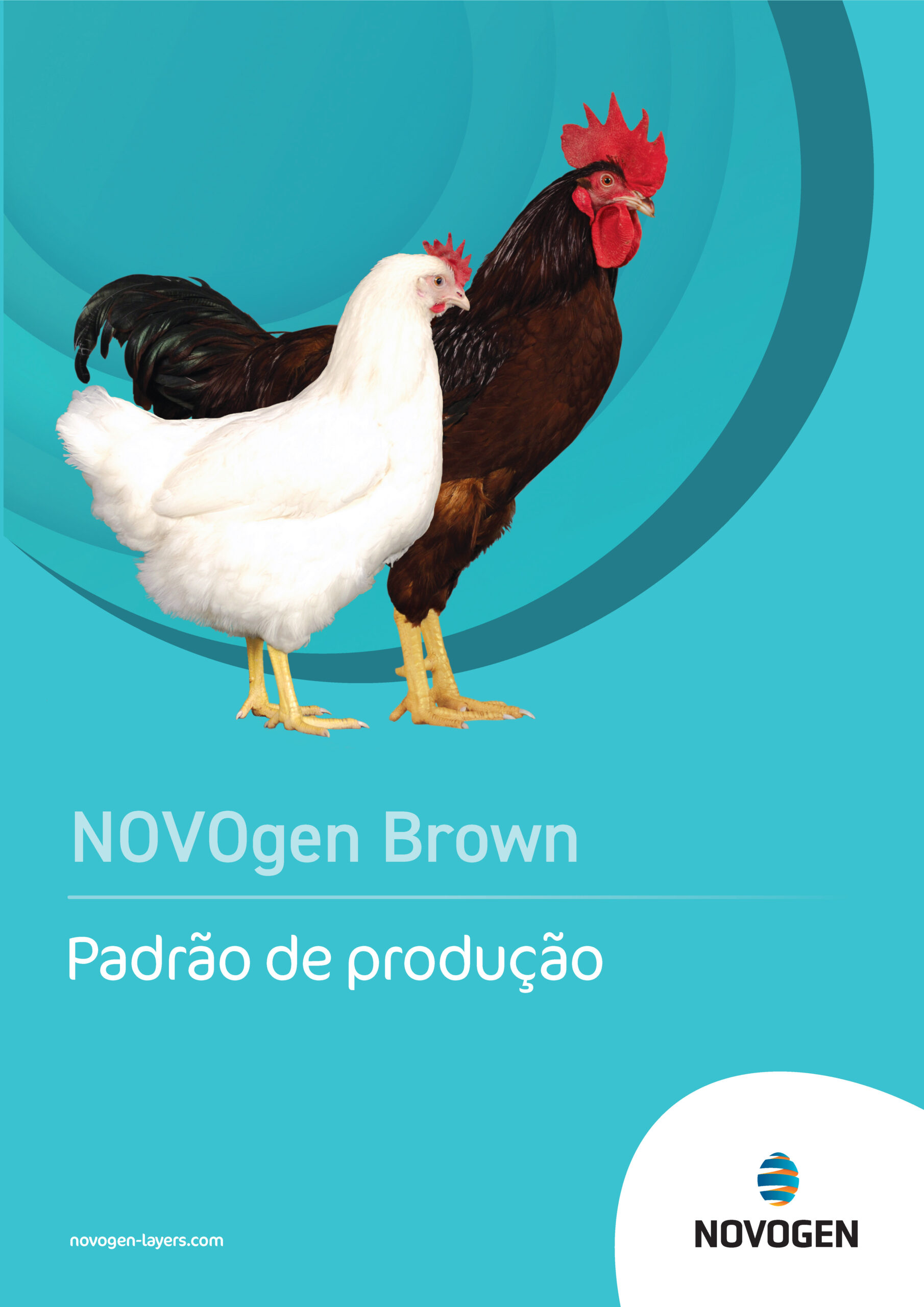 DOCUMENTAÇÃO - Novocenter