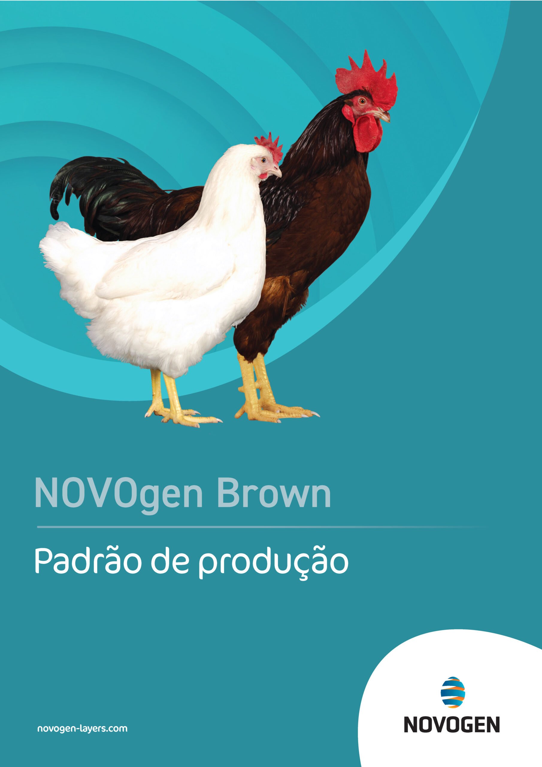 DOCUMENTAÇÃO - Novocenter