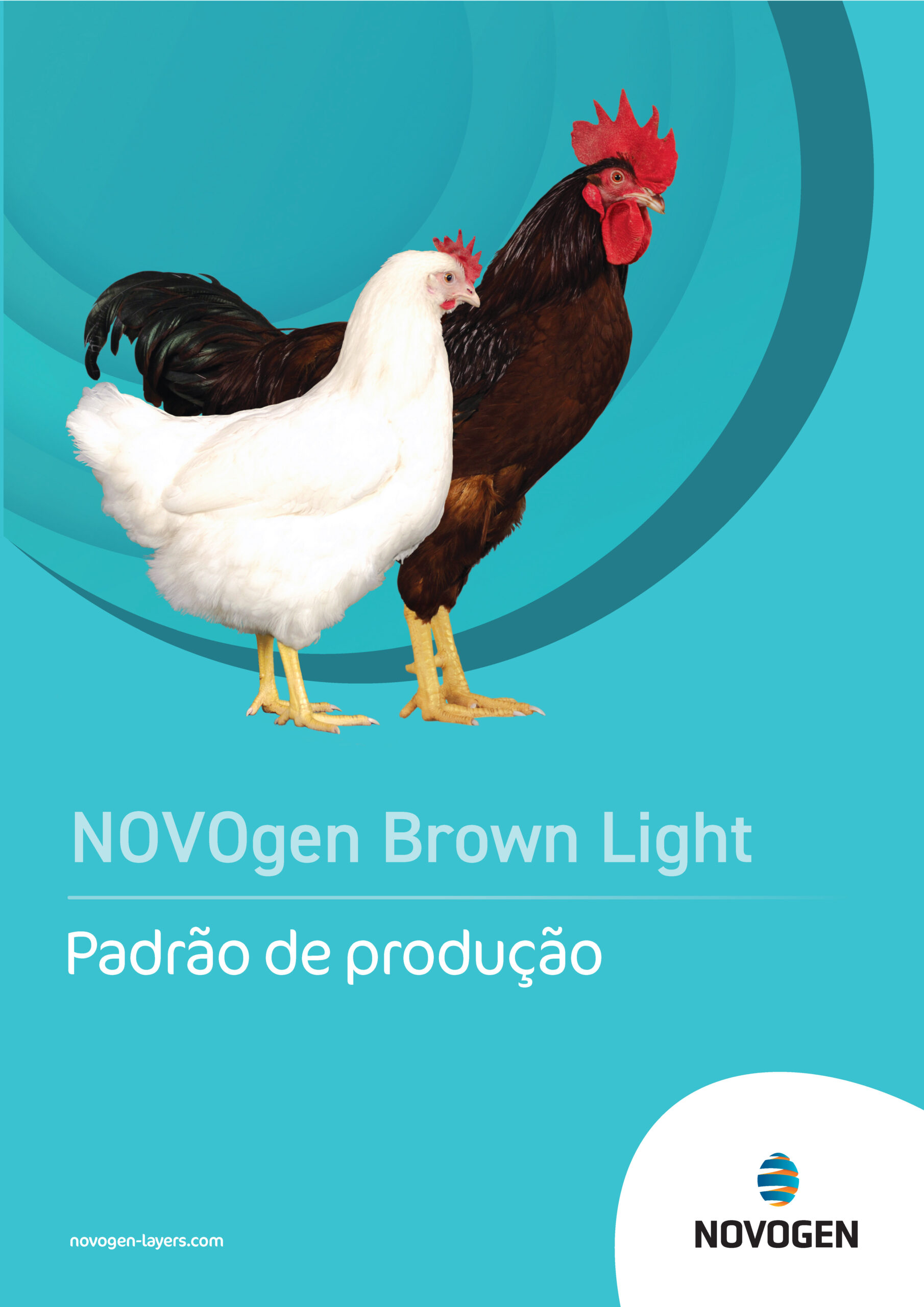 DOCUMENTAÇÃO - Novocenter