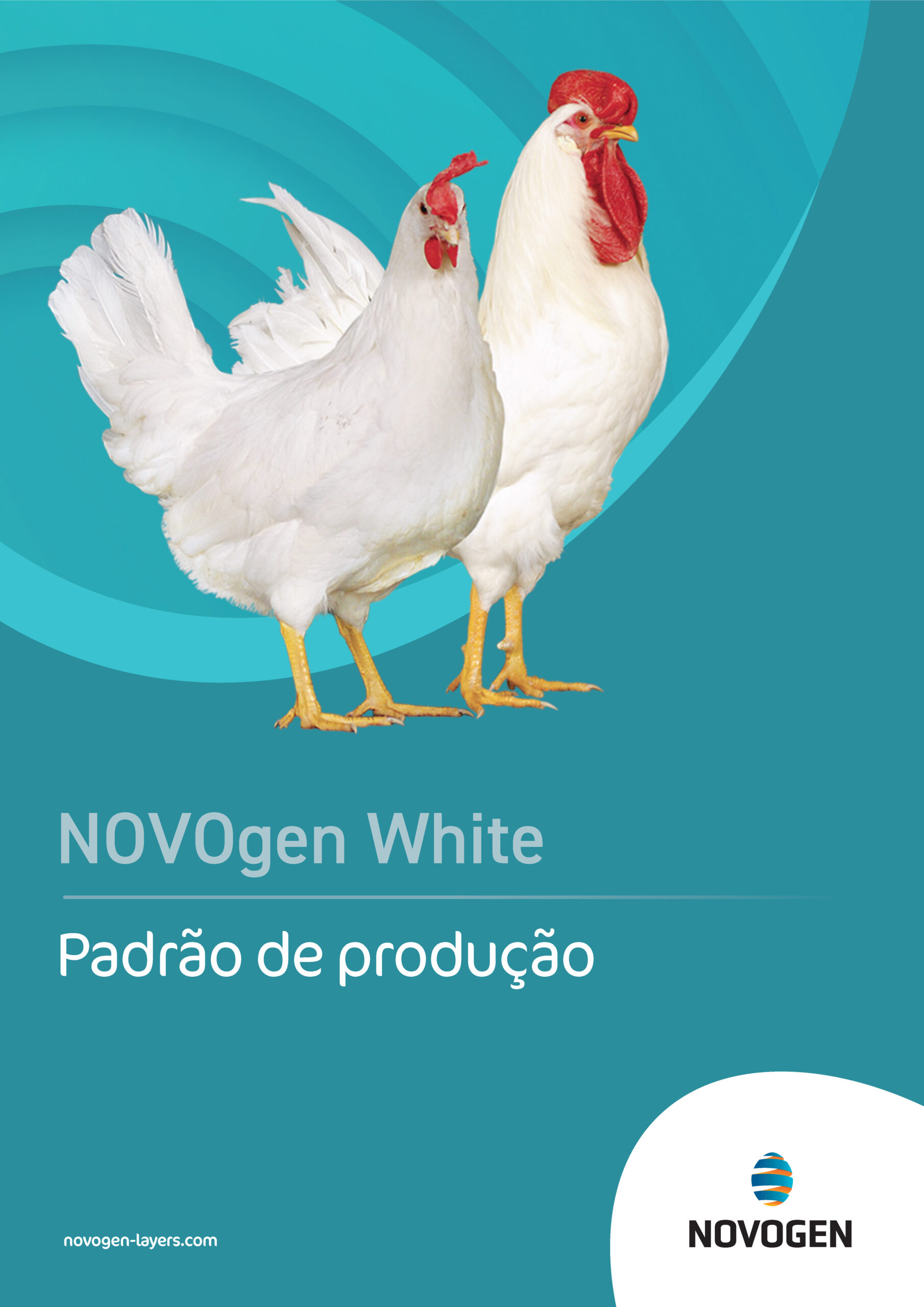 DOCUMENTAÇÃO - Novocenter